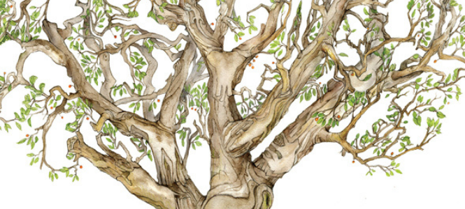 » Tree Beings author Raymond Huber on the magic of treesThe Booktopian